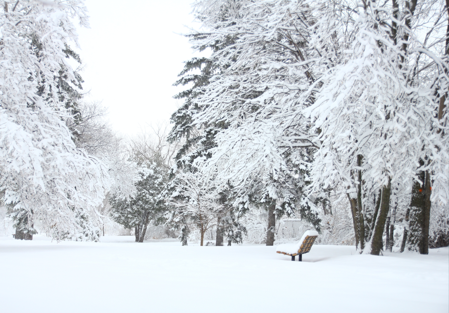 Where Pests Go During the Winter | West Des Moines Pest Control